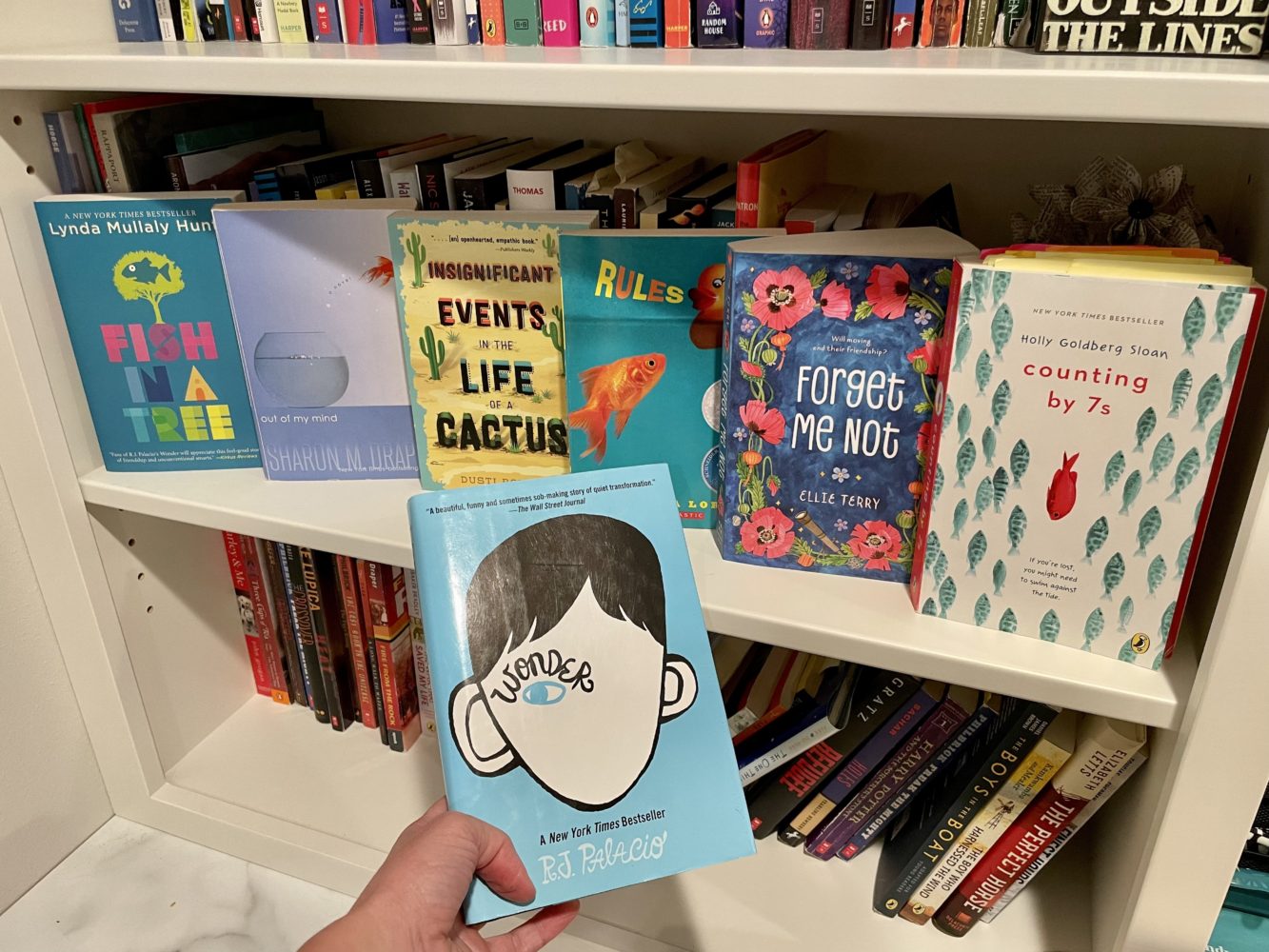 The Ultimate Independent Reading Blog Post – The Literacy Effect